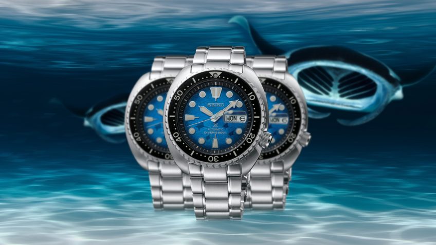 Turtle Manta Ray – Conheça um dos modelos Save the Ocean 2020 – Blog da ...